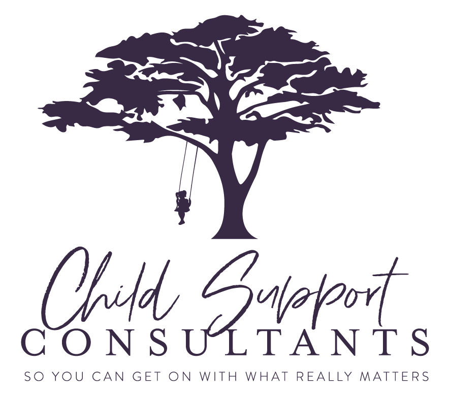 Clarity Package - Child Support Consultants